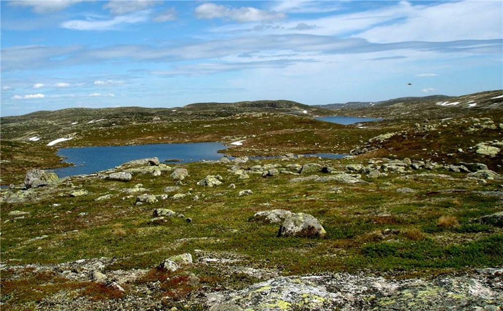 Flå / Hallingdal | Norgesbooking