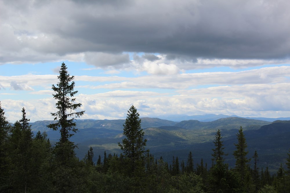 Hytter til leie i Eggedal | Norgesbooking